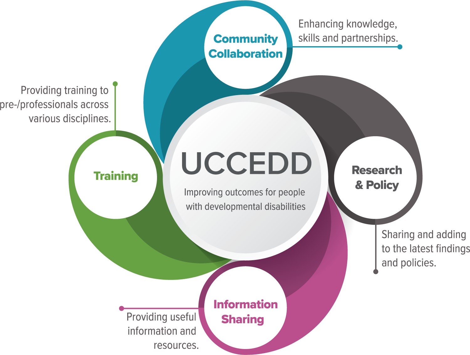 UCCEDD – University of Cincinnati Center for Excellence in ...